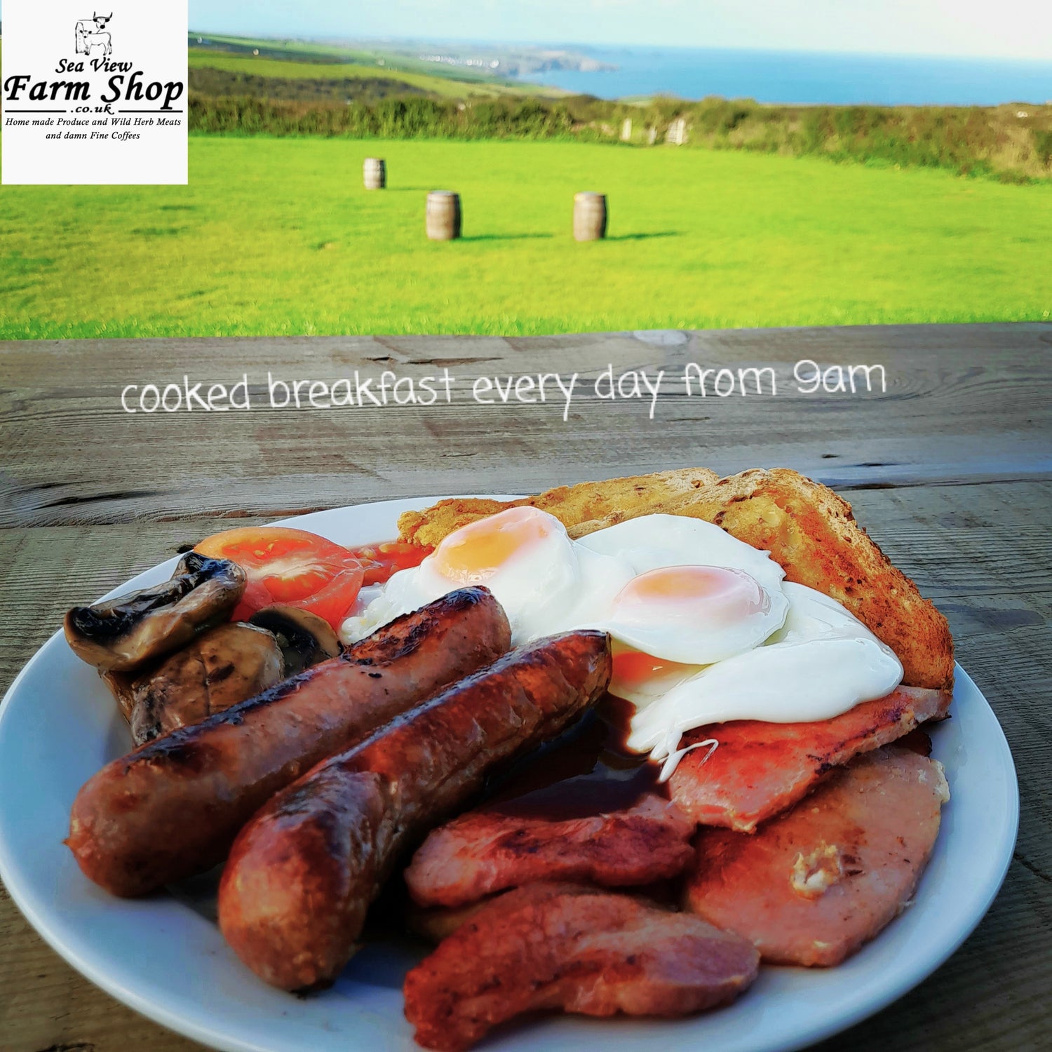 SEA VIEW FARM SHOP CORNWALL- Restaurant - Cafe - Live Music - Festival