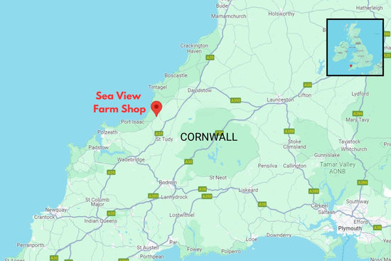 SEA VIEW FARM SHOP CORNWALL- Restaurant - Cafe - Live Music - Festival